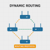 Dynamic Routing: Pengertian, Cara Kerja, dan Manfaatnya dalam Jaringan ...