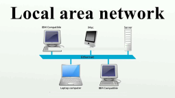 Langkah Demi Langkah: Cara Membuat Jaringan Lokal (LAN) untuk Berbagi ...